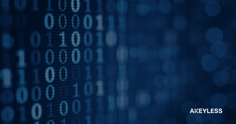 API Keys: How They Secure Your Digital Interactions | Akeyless